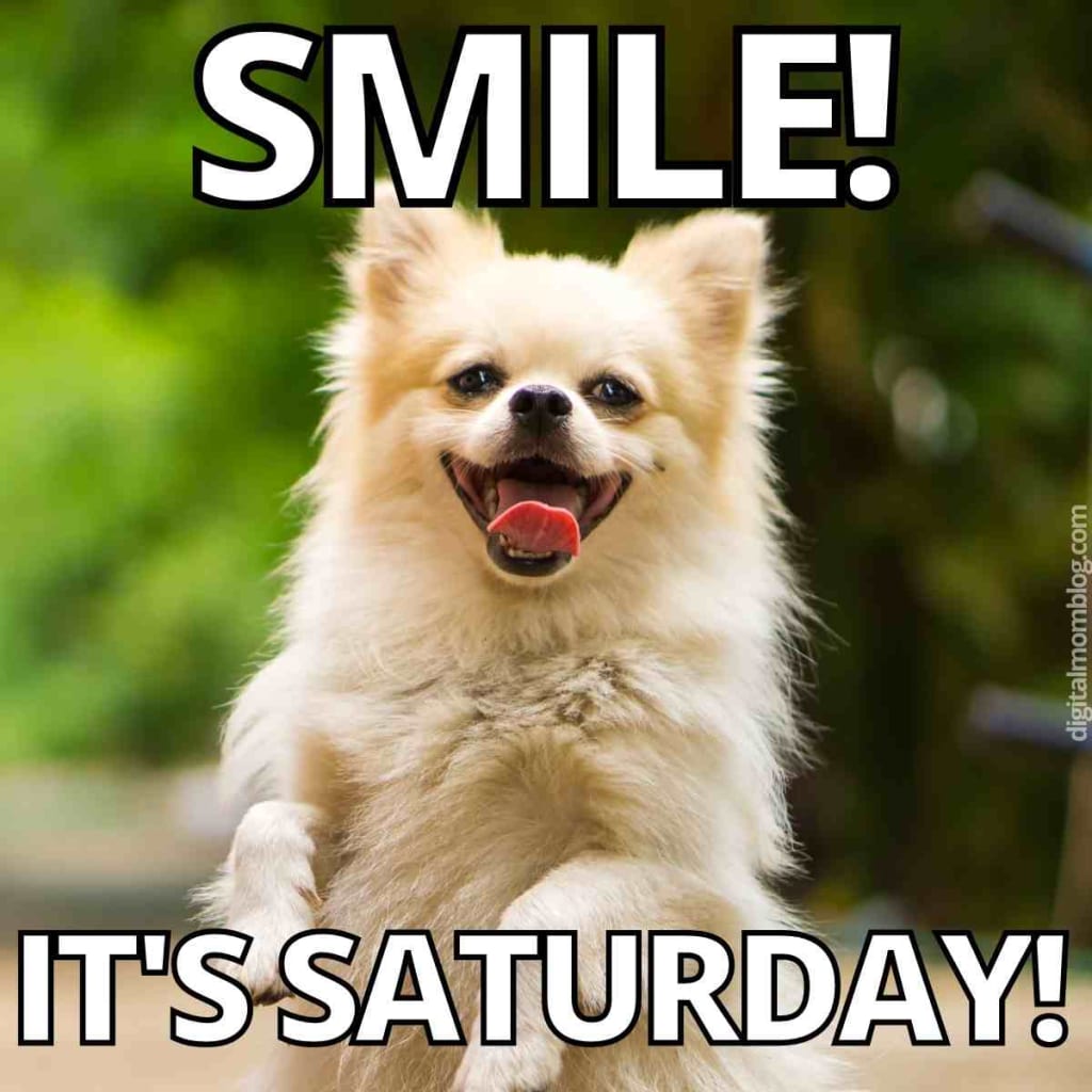 50 Awesome Saturday Memes To Supercharge Your Weekend Vibes