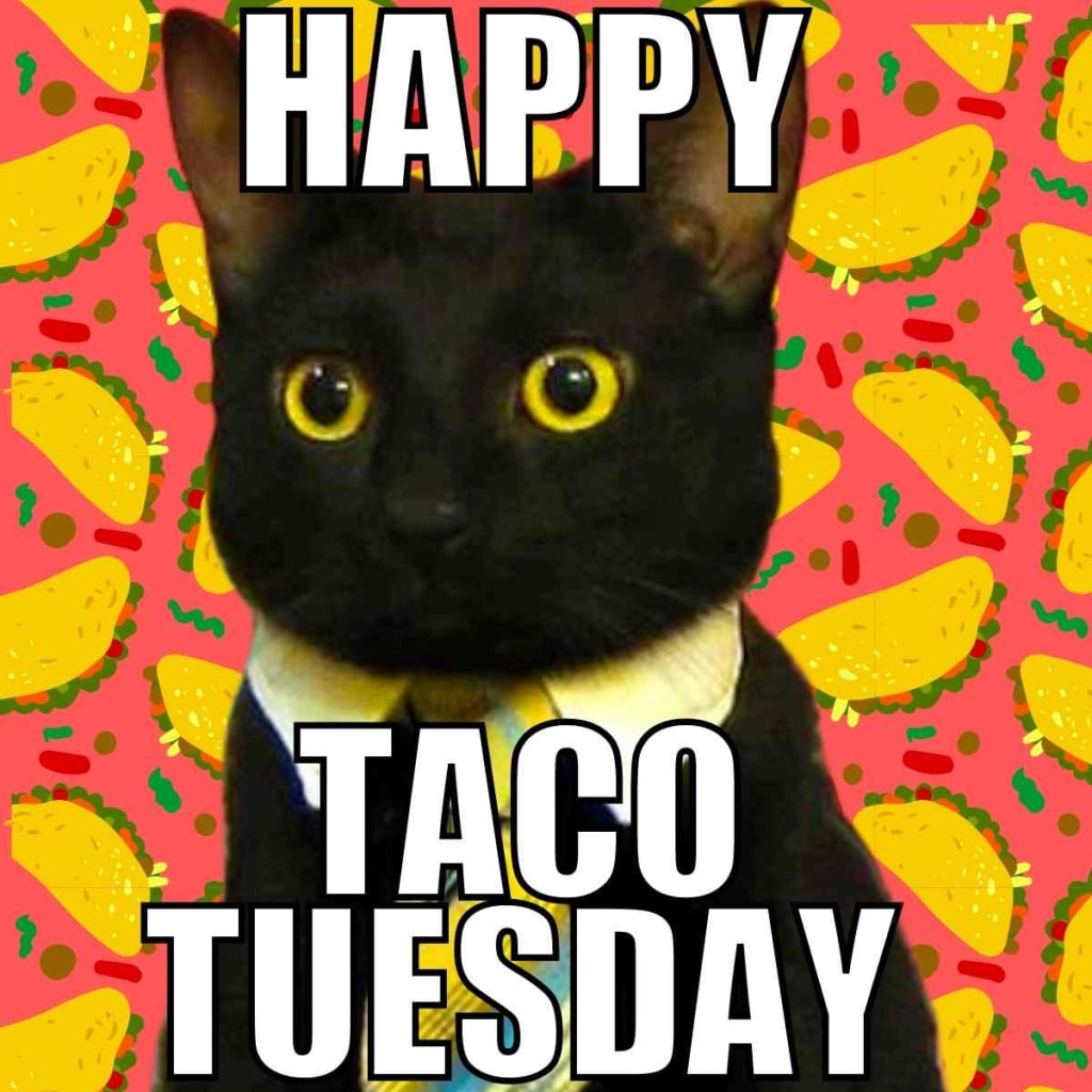 20 Funny Taco Tuesday Memes To Spice Up Your Feed