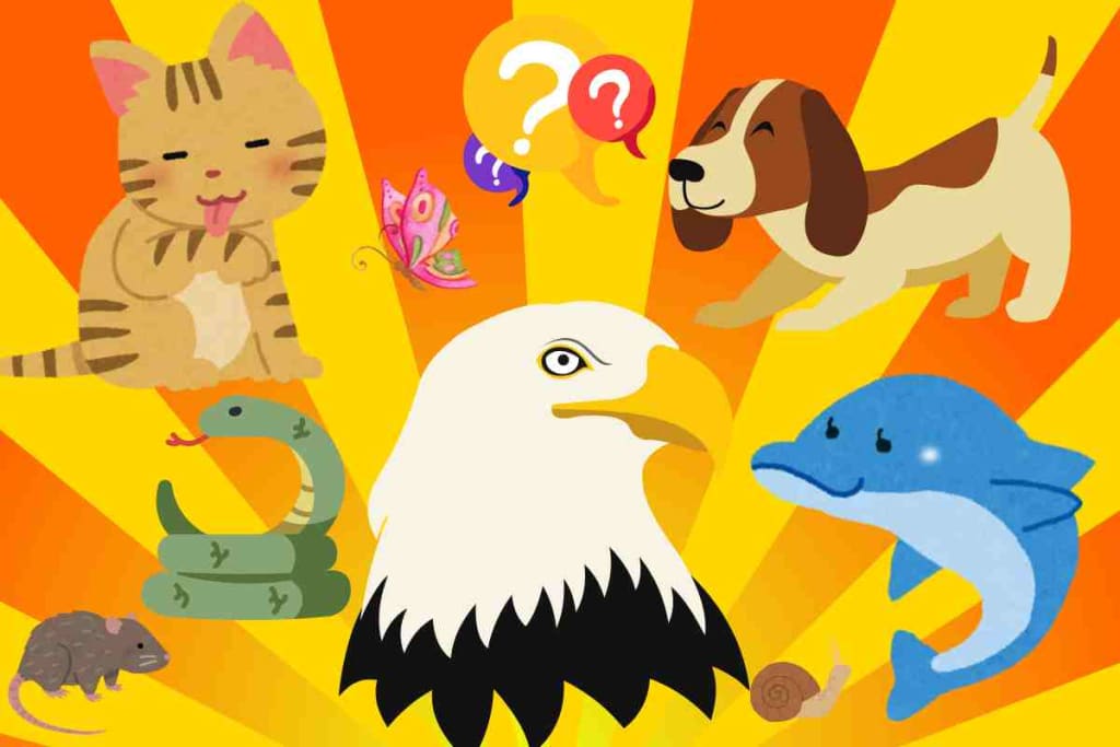 Take The "What Type Of Animal Am I?" Quiz!