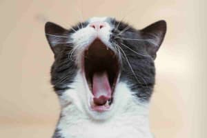 33 Crying Memes For The Crazy Rollercoaster We Call Life