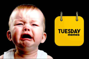 20 Hilarious Tuesday Work Memes That Hit Just Right