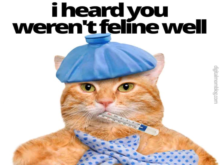 25 Best Sick Memes: A Hilarious Prescription For Laughter!