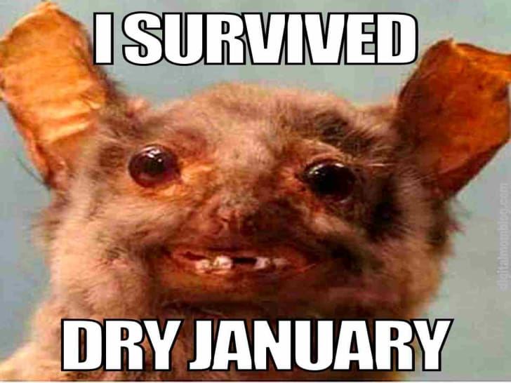 12 Best Dry January Memes To Keep You Smiling And Sober