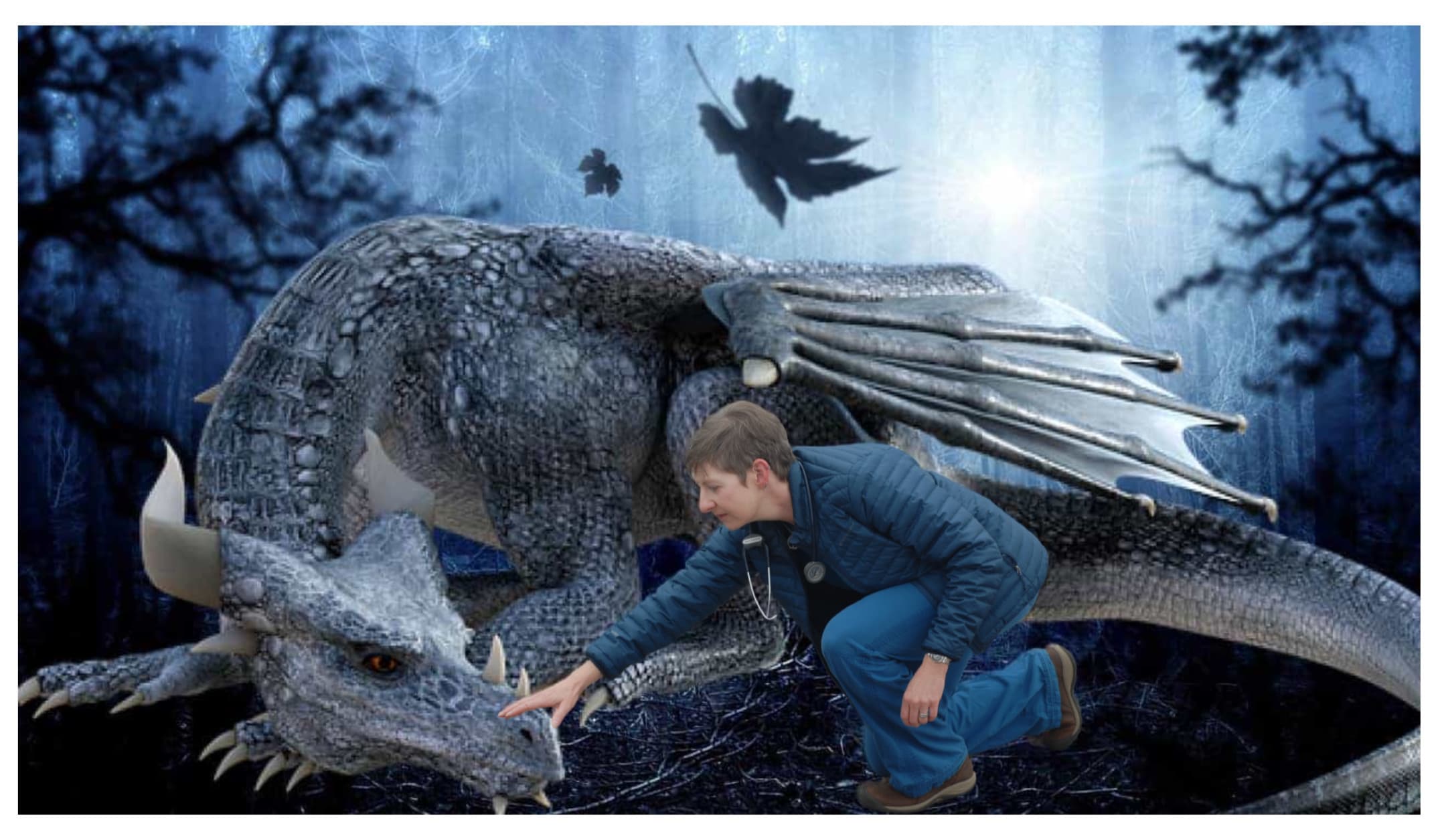 Contact - DR. S.K. BURKMAN