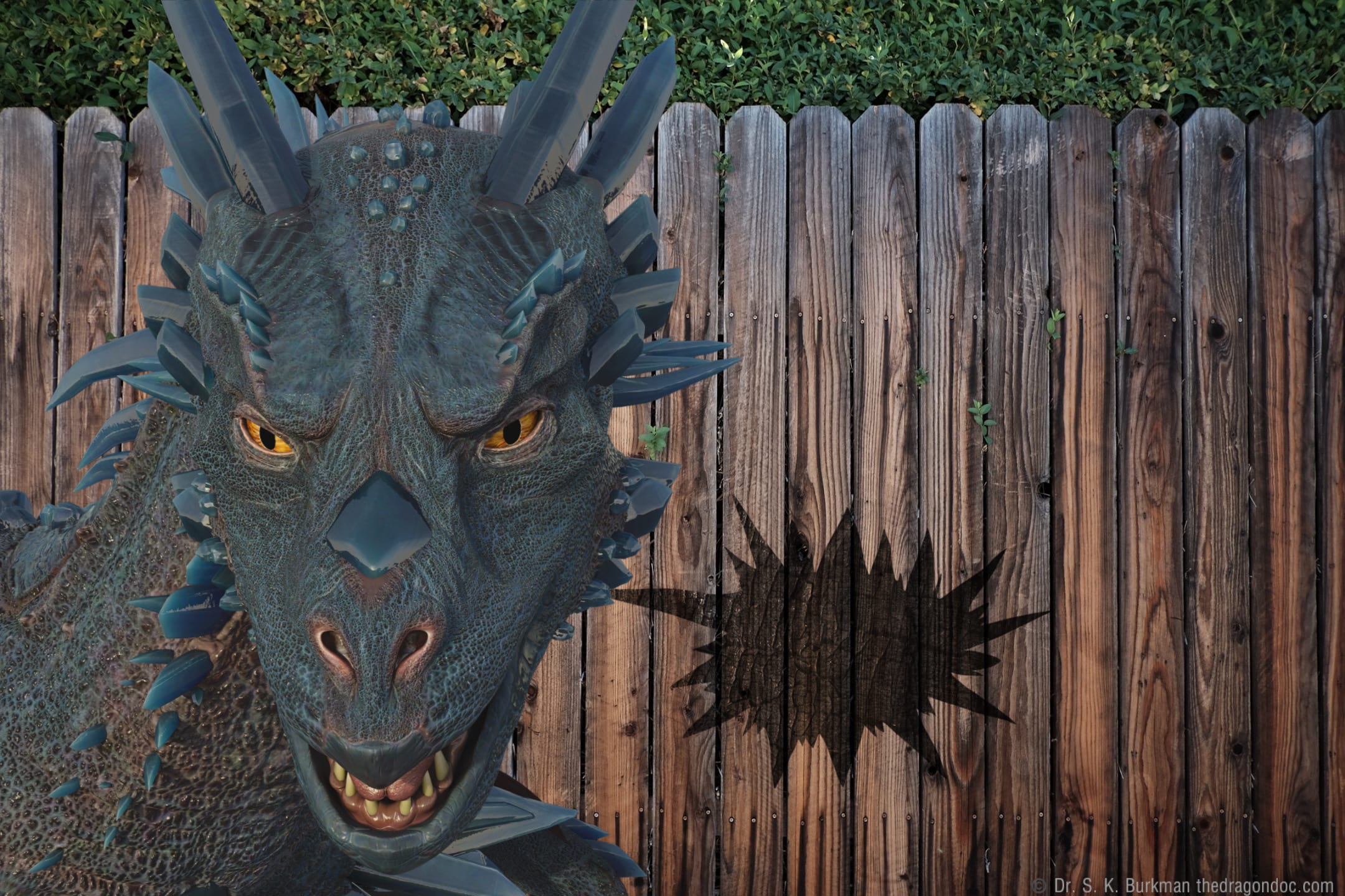 ULTIMATE GUIDE TO DRAGON FARTS - DR. S.K. BURKMAN