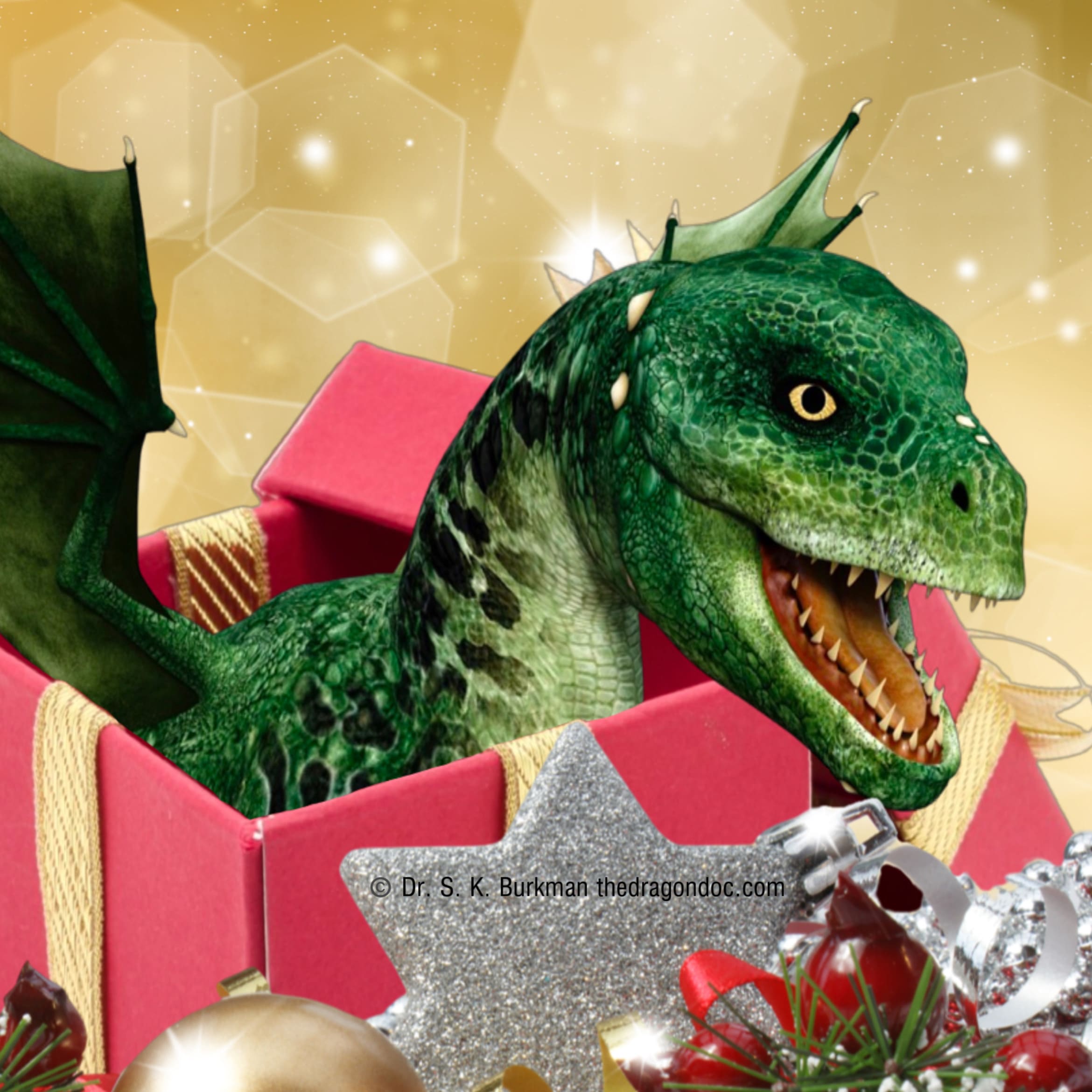 Holiday Giveaway: Books and a Dragon! - DR. S.K. BURKMAN