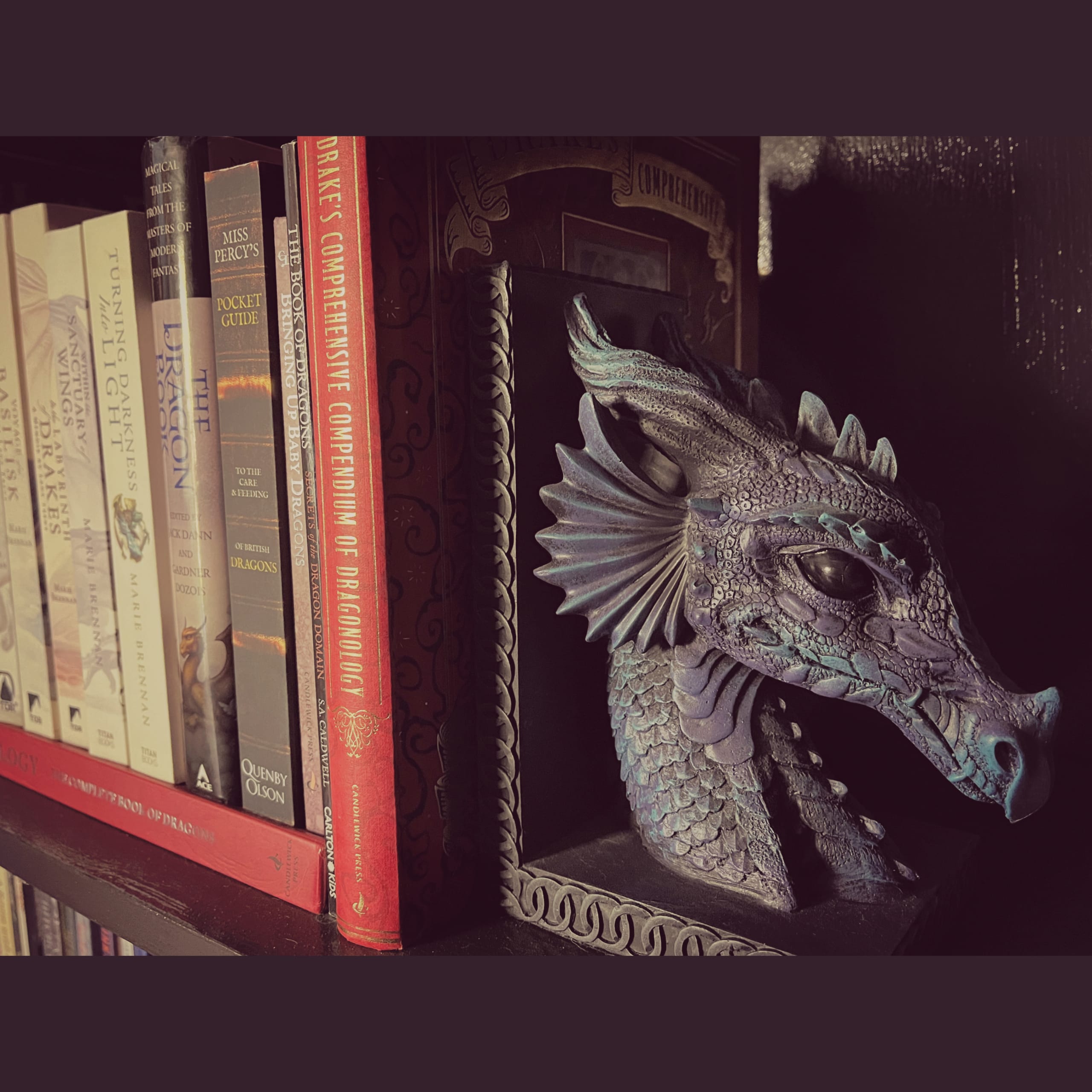 DONATED BOOKS - DR. S.K. BURKMAN