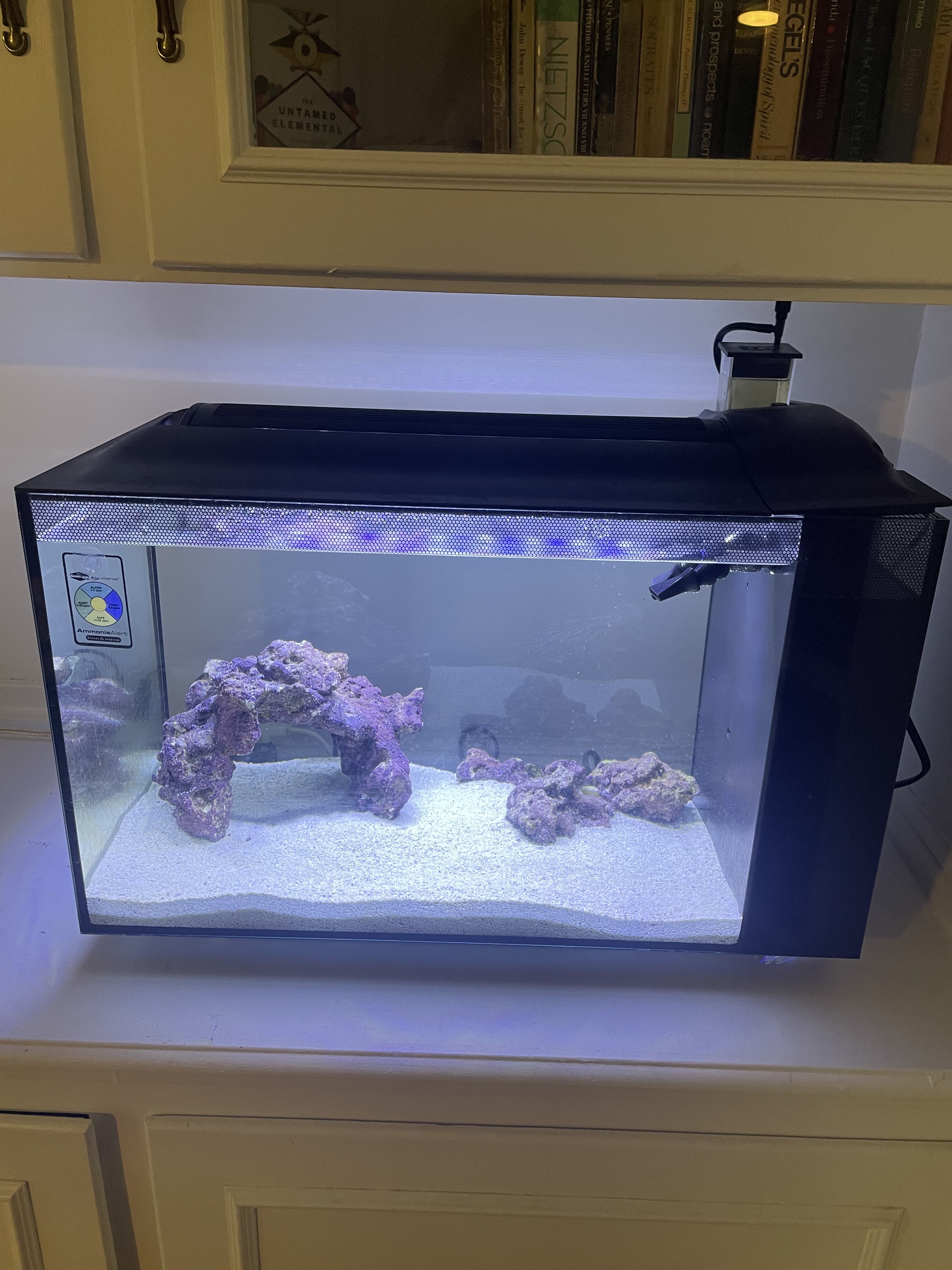 Fluval 13.5 BTA Questions | Reef2Reef
