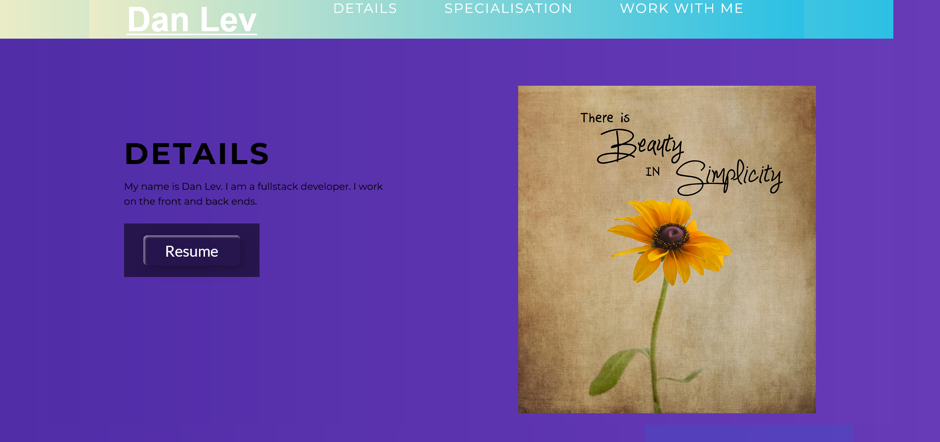 GitHub - Skandalev/Portfolio: Netlify
