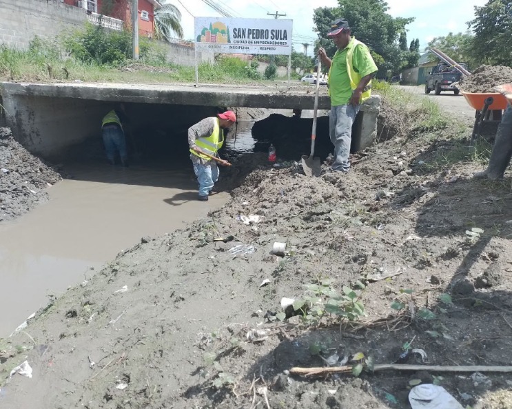Obras Municipalidad De San Pedro Sula