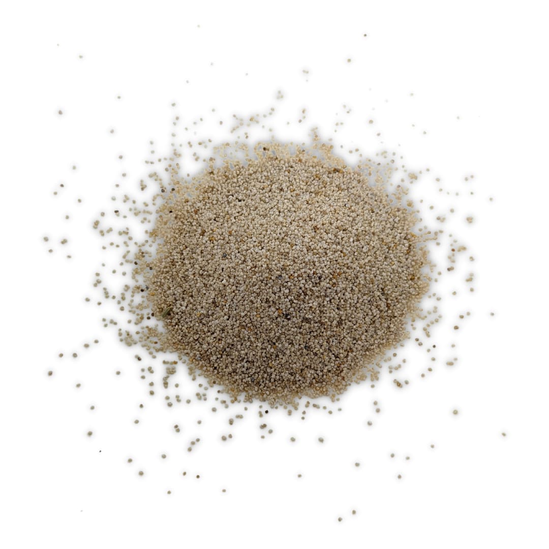 Khaskhas (Poppy Seeds) - Tashi Foods