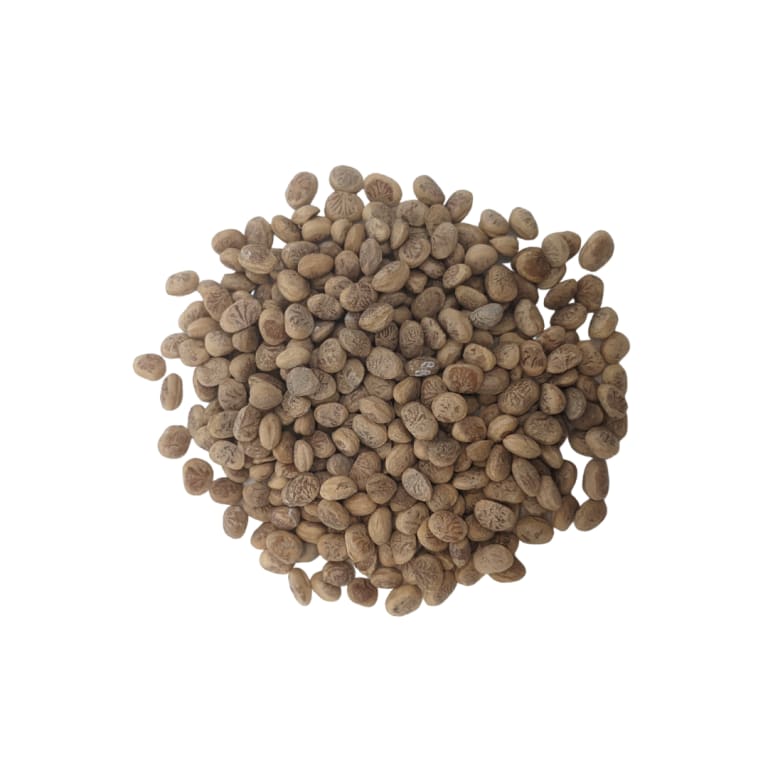 Chironjee - Tashi Foods