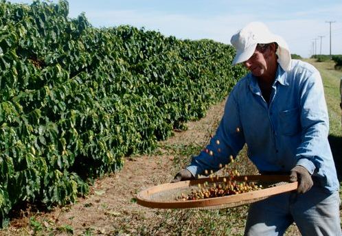 Cupping, a Trend for Coffee Connoisseurs