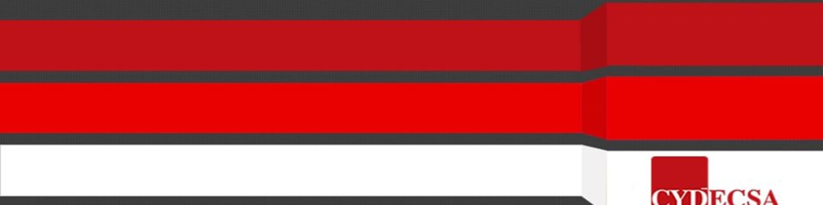 Construcción y Desarrollo de Espacios Comerciales, S.A. de C.V. | Dunsguide
