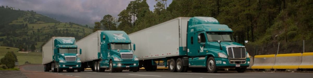 TUM Logística y Servicios Dedicados, S.A. de C.V. | Dunsguide