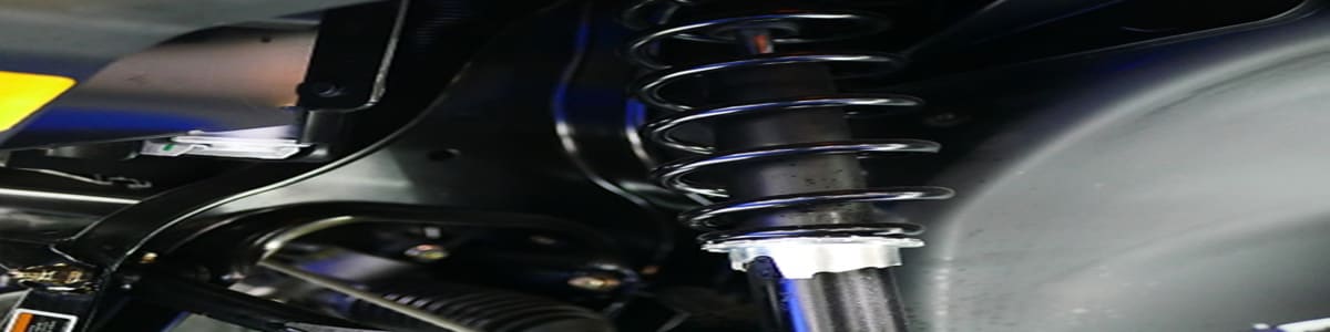 Piolax Mexicana, S.A. de C.V. | Dunsguide