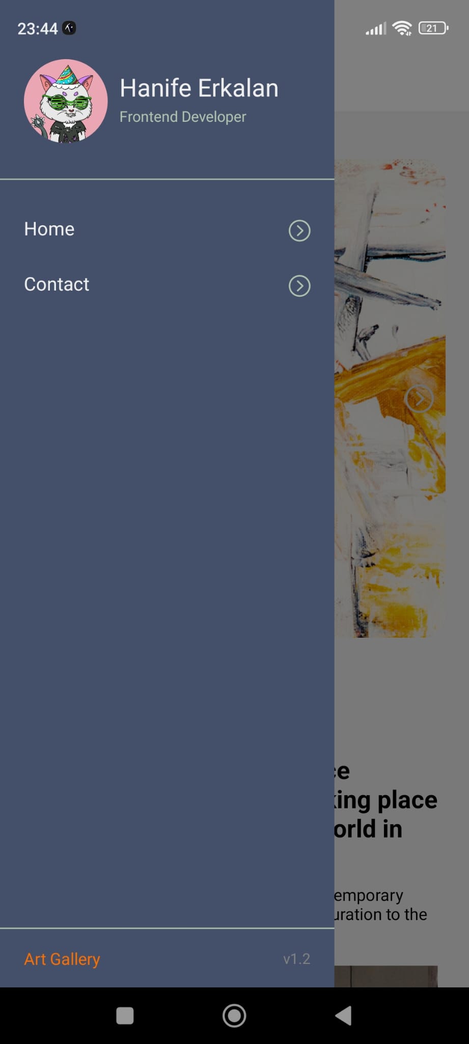 GitHub - eliferkln/react-native-drawer-art-gallery
