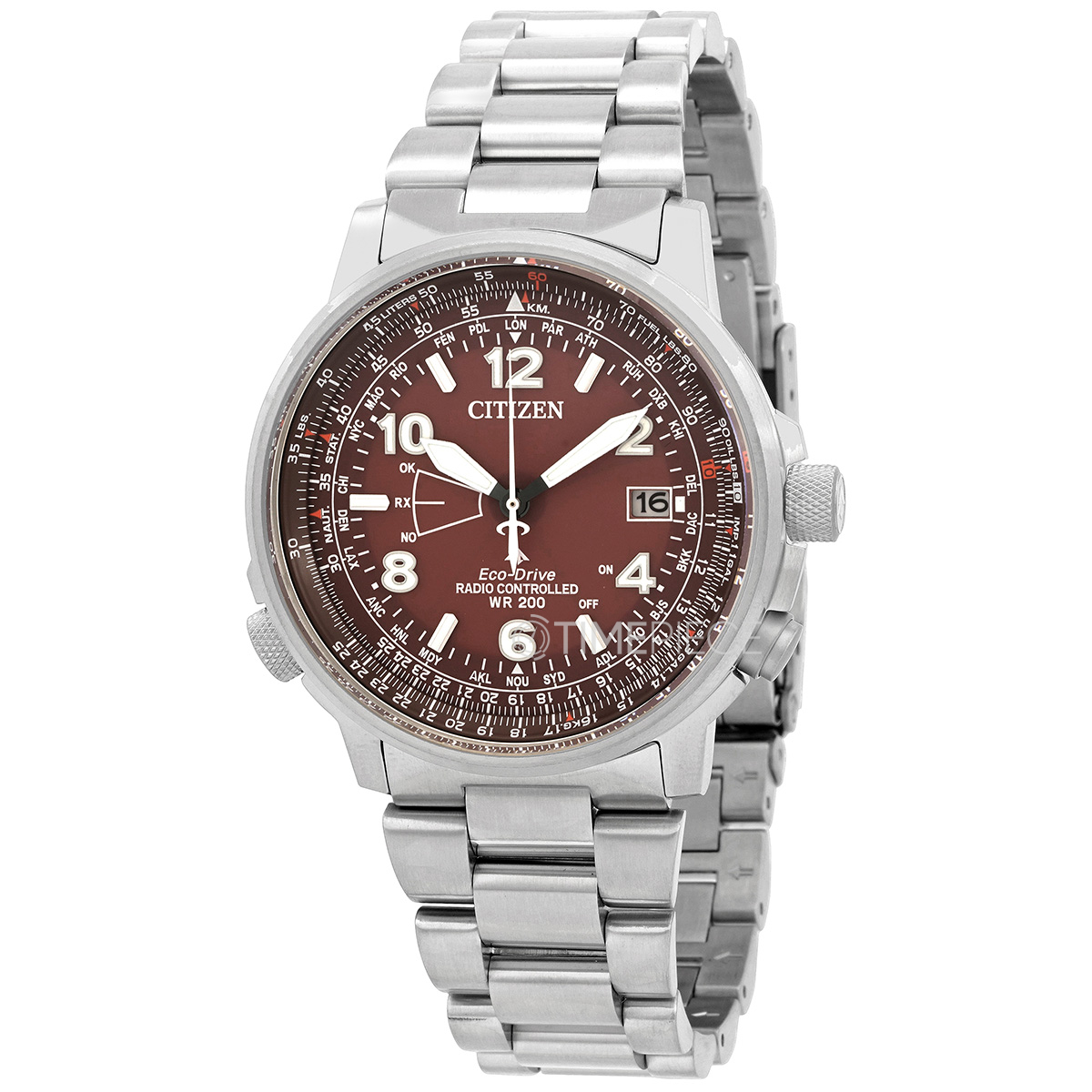Citizen Perpetual World Time Watch CB0241-85X