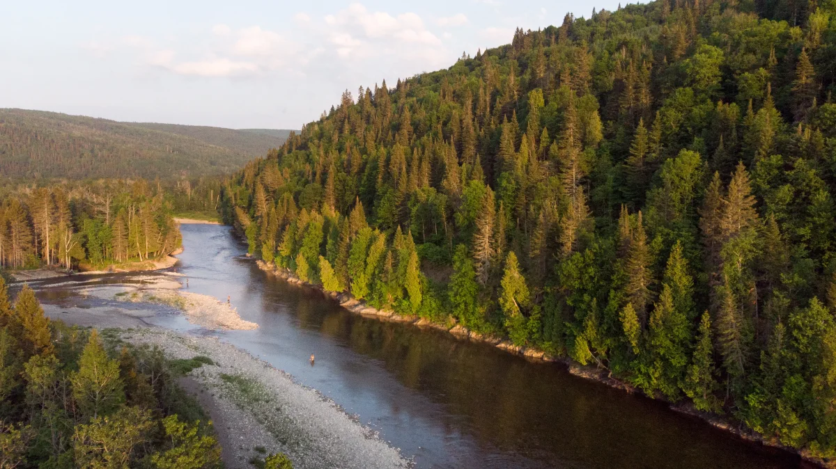 Rivière Matane