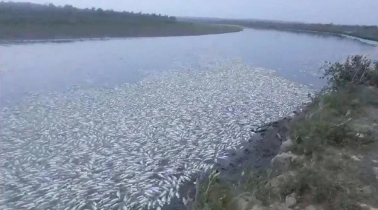 Multan al ingenio de la Coca-Cola por contaminar aguas del Río Salí y ...