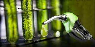 El Gobierno fijó los nuevos precios de los biocombustibles para enero ...