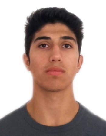 Ivo DARGOLTZ / IJF.org