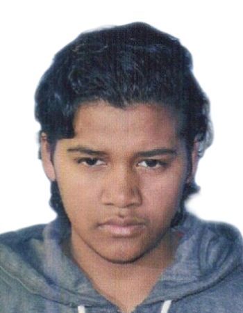 Narindra RAKOTOVAO / IJF.org