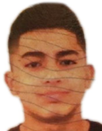 Brandon SILVA / IJF.org