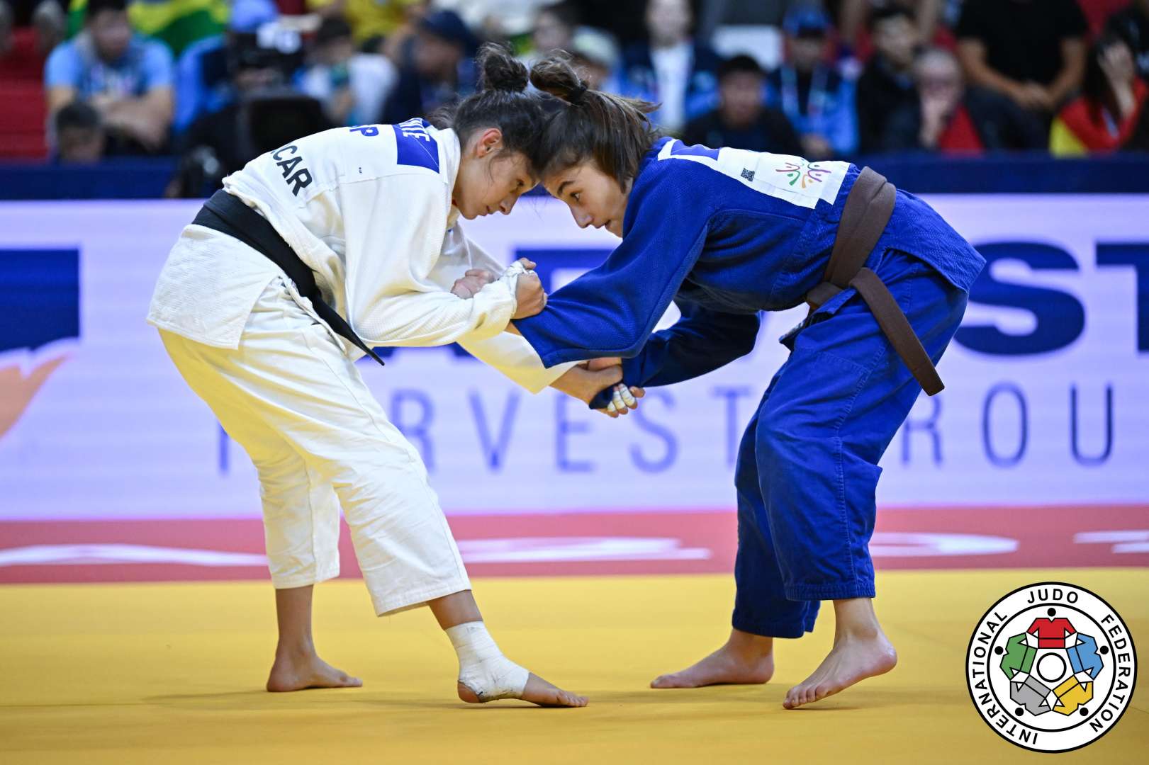 Alina BOGUS / IJF.org
