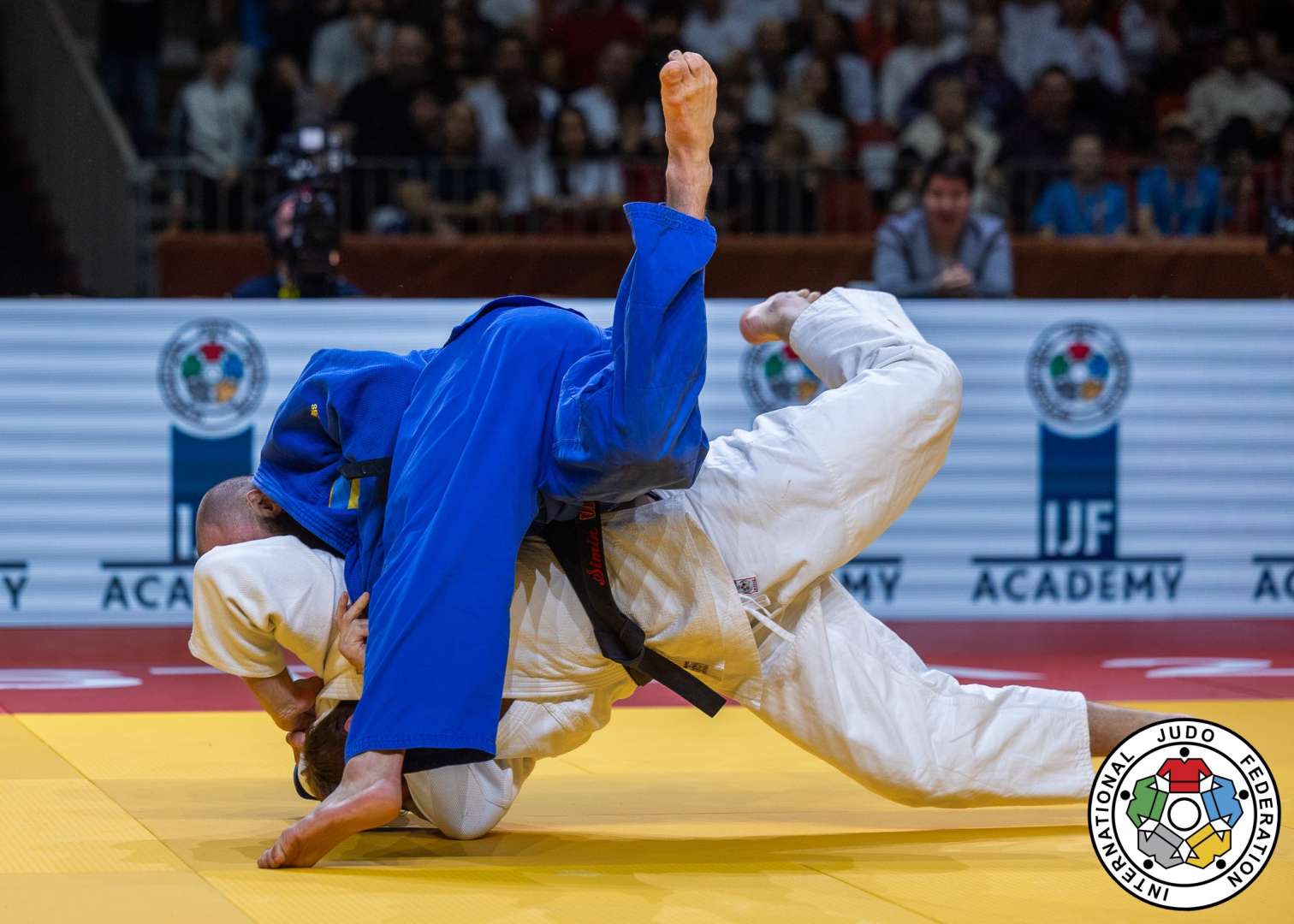 Iosif SIMIN / IJF.org