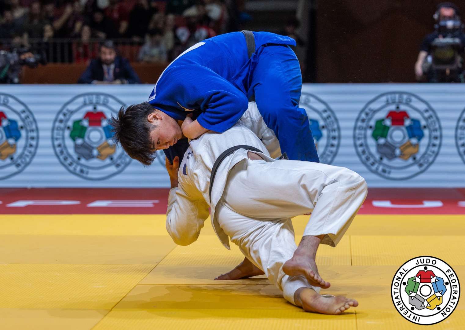 Riku HIRAMI / IJF.org