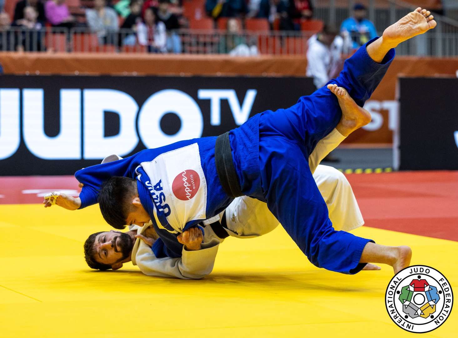 Jacob YANG / IJF.org