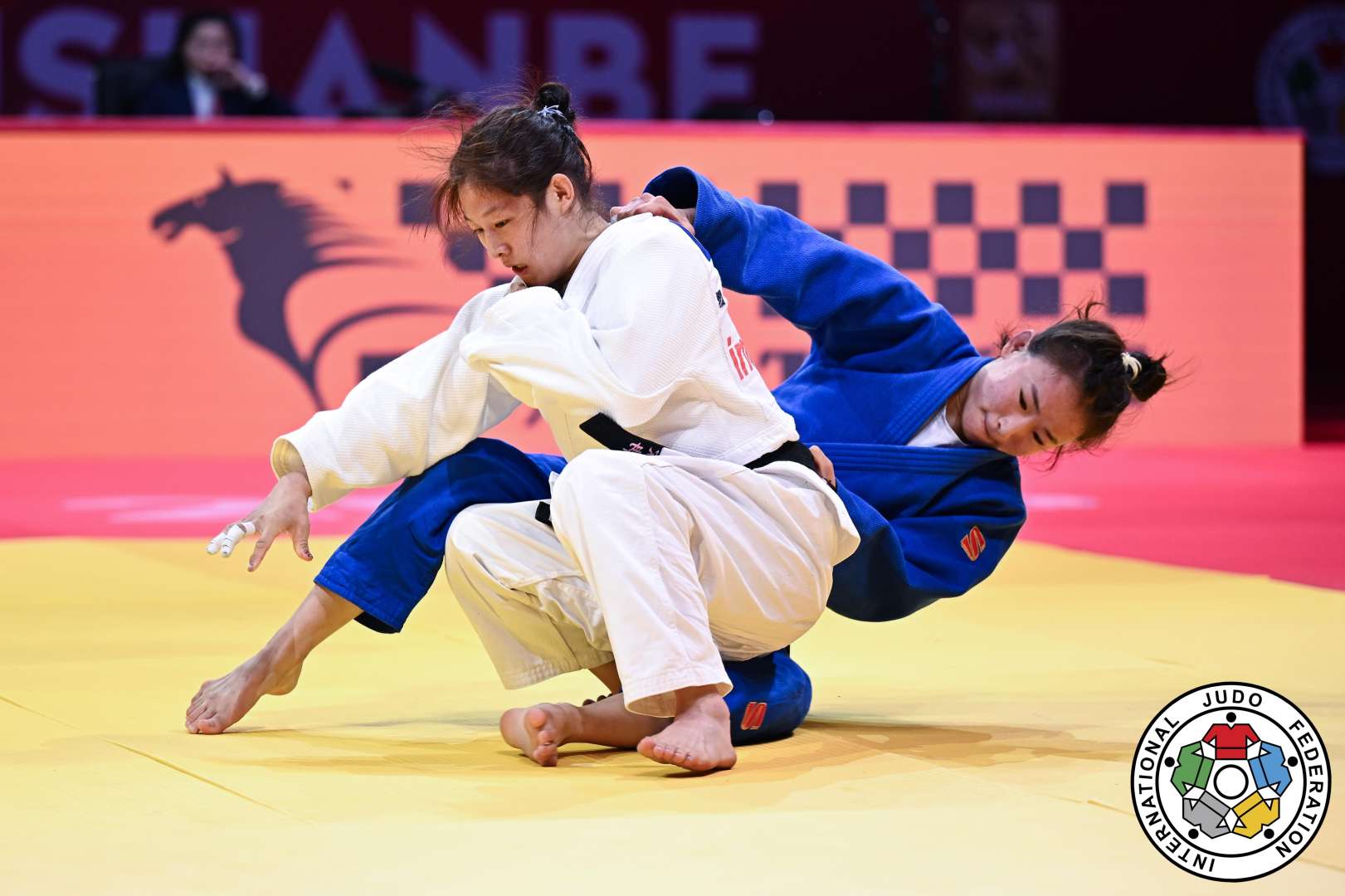 Anudari JAMSRAN / IJF.org