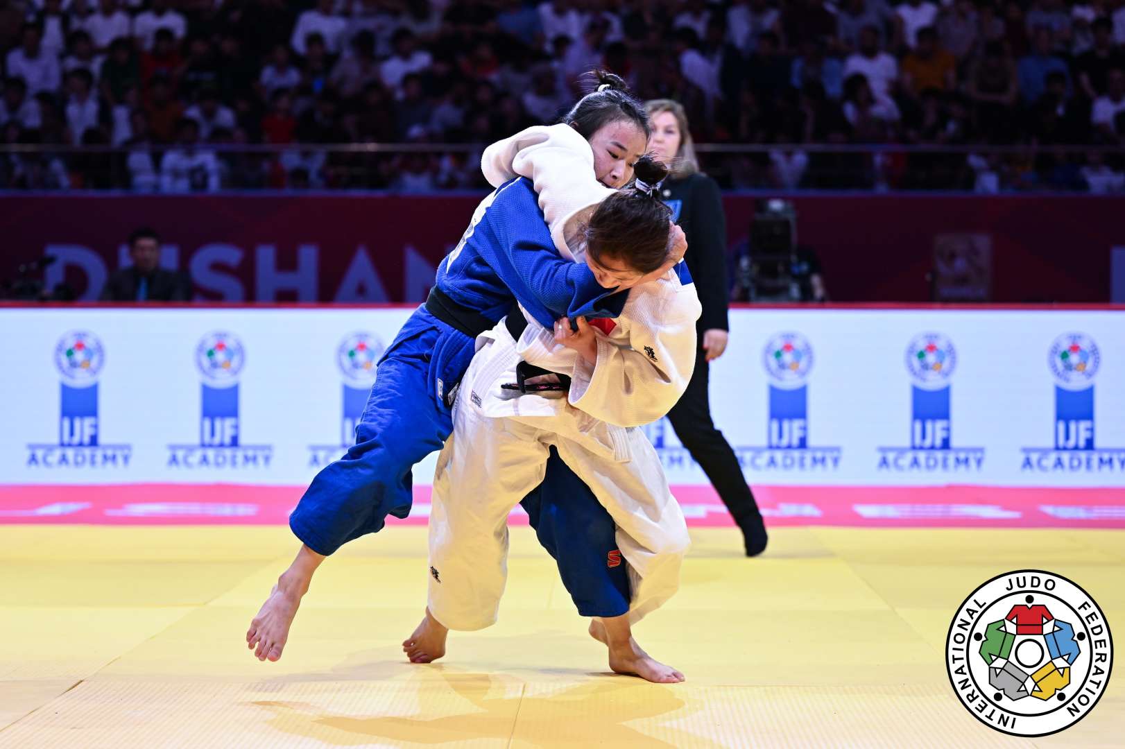 Anudari JAMSRAN / IJF.org