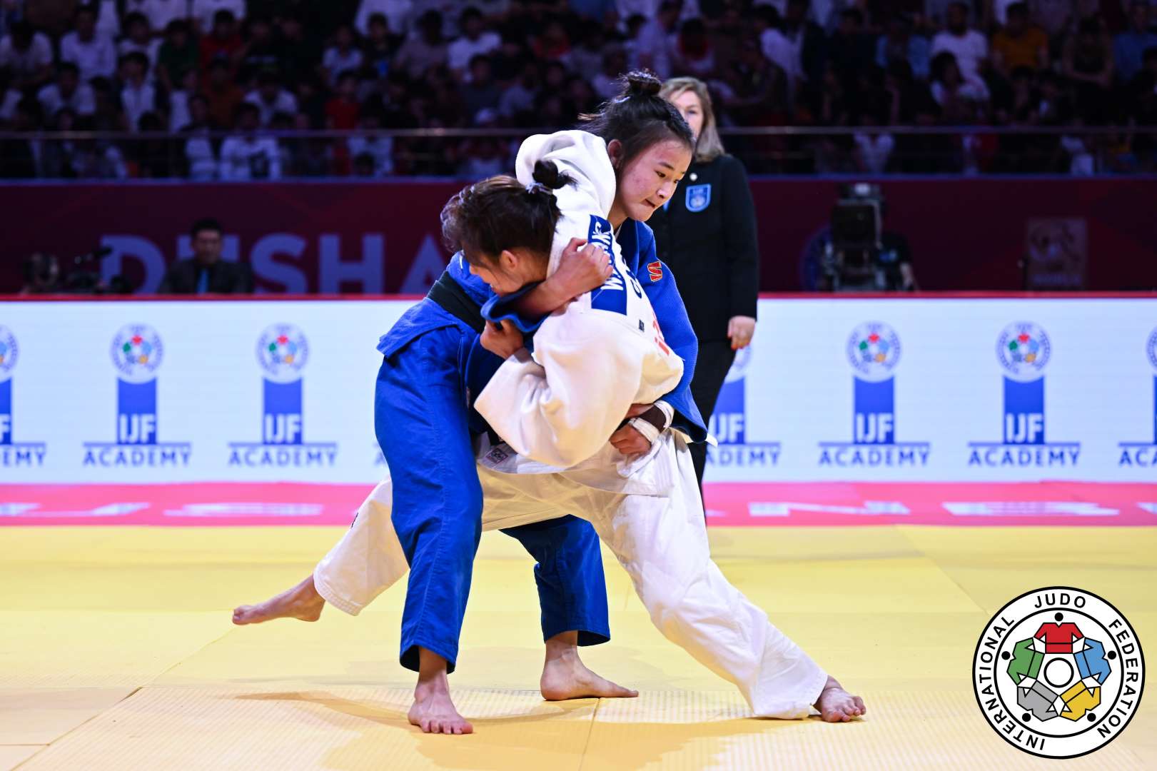 Anudari JAMSRAN / IJF.org