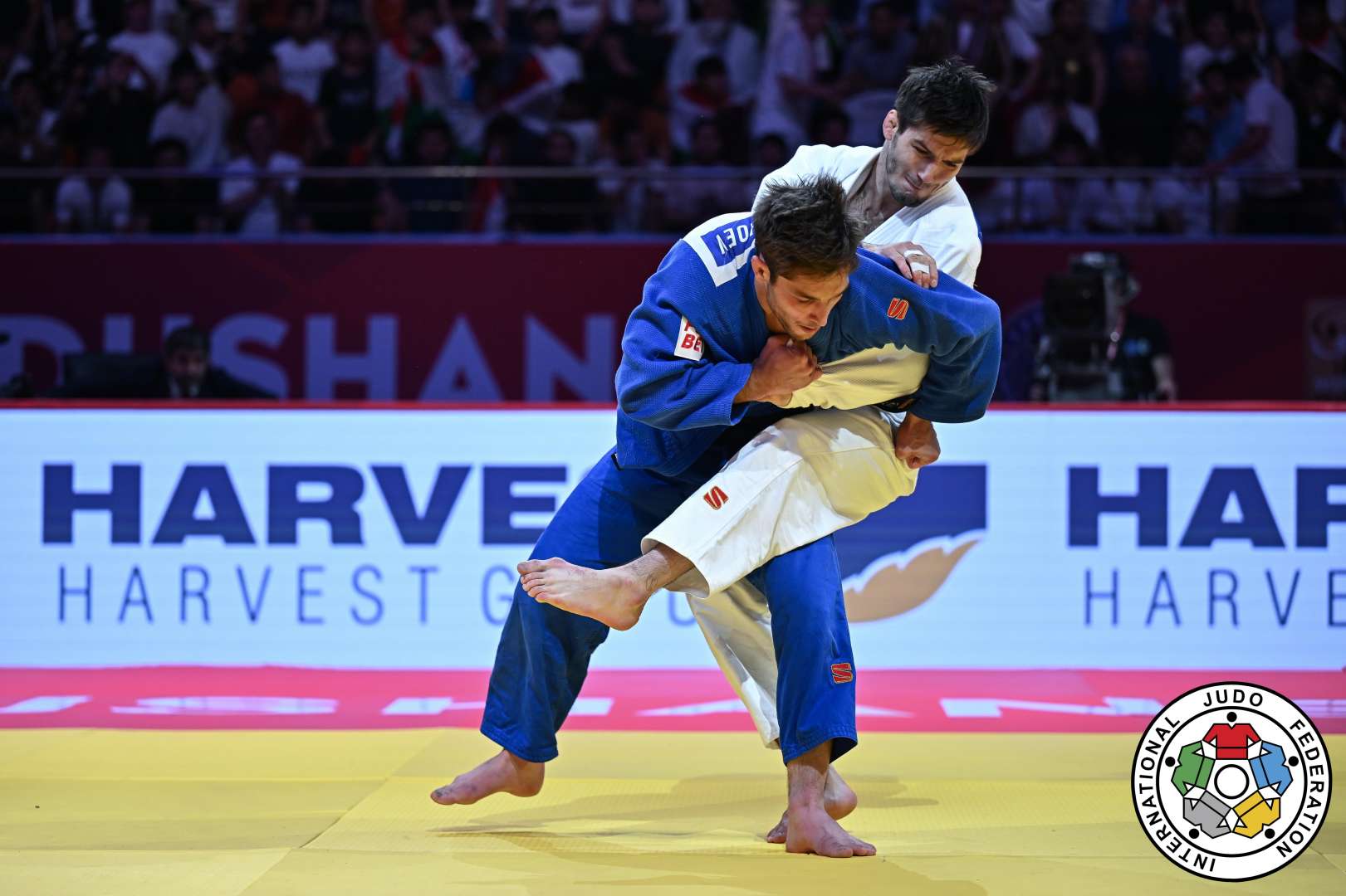 Adam TSECHOEV / IJF.org