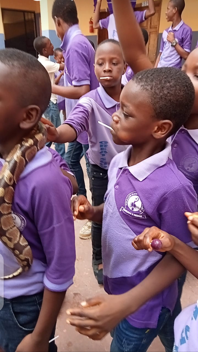 Firdaus-Gate Model Schools