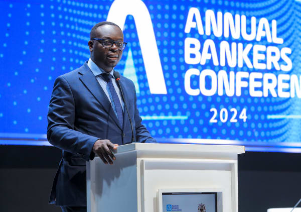 UBA Chairman Urges Entities to Embrace ESG For Sustainable Operations ...