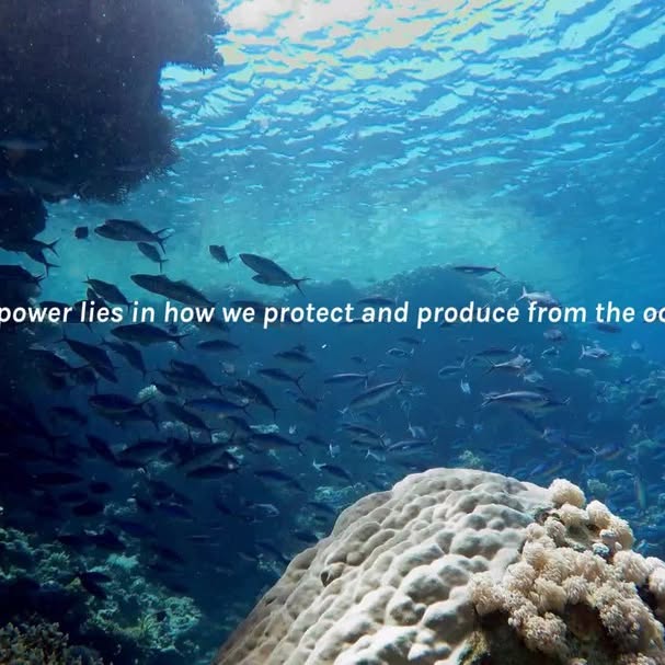 "Achieving a 100% Approach to Success - Ocean Panel"