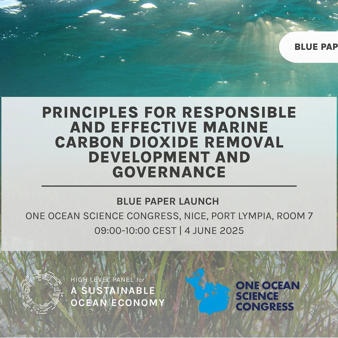 "Expert Insights on Excellence - Ocean Panel"