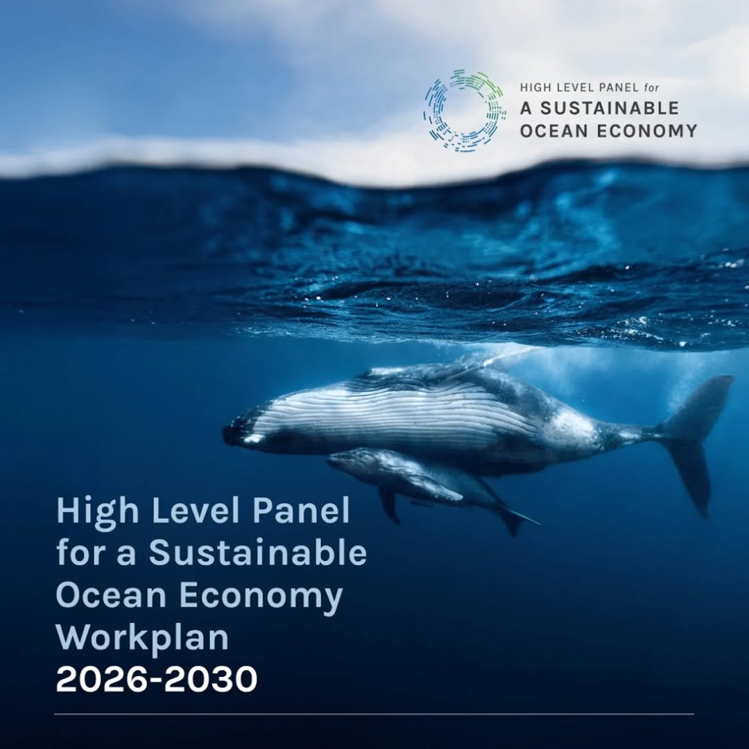 High Level Panel for a Sustainable Ocean Economy