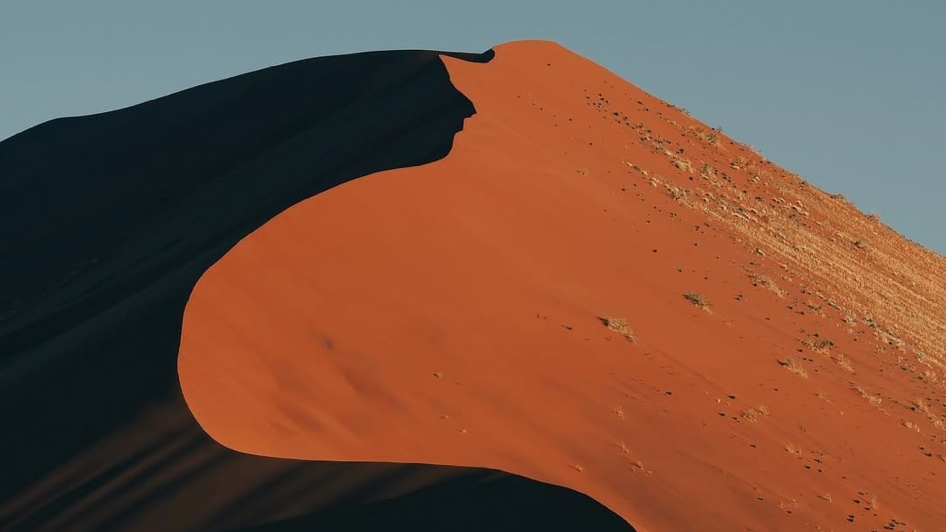 5-Day Namibia Dune Adventure. Desert Beauty & Wildlife Wonders ...