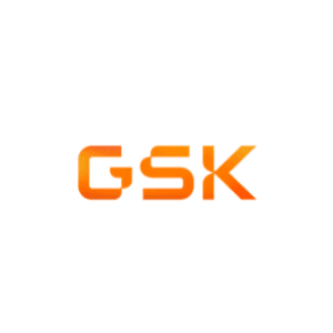 Capital Projects Digital & Data Analytics Lead | GSK | Inclusive ...