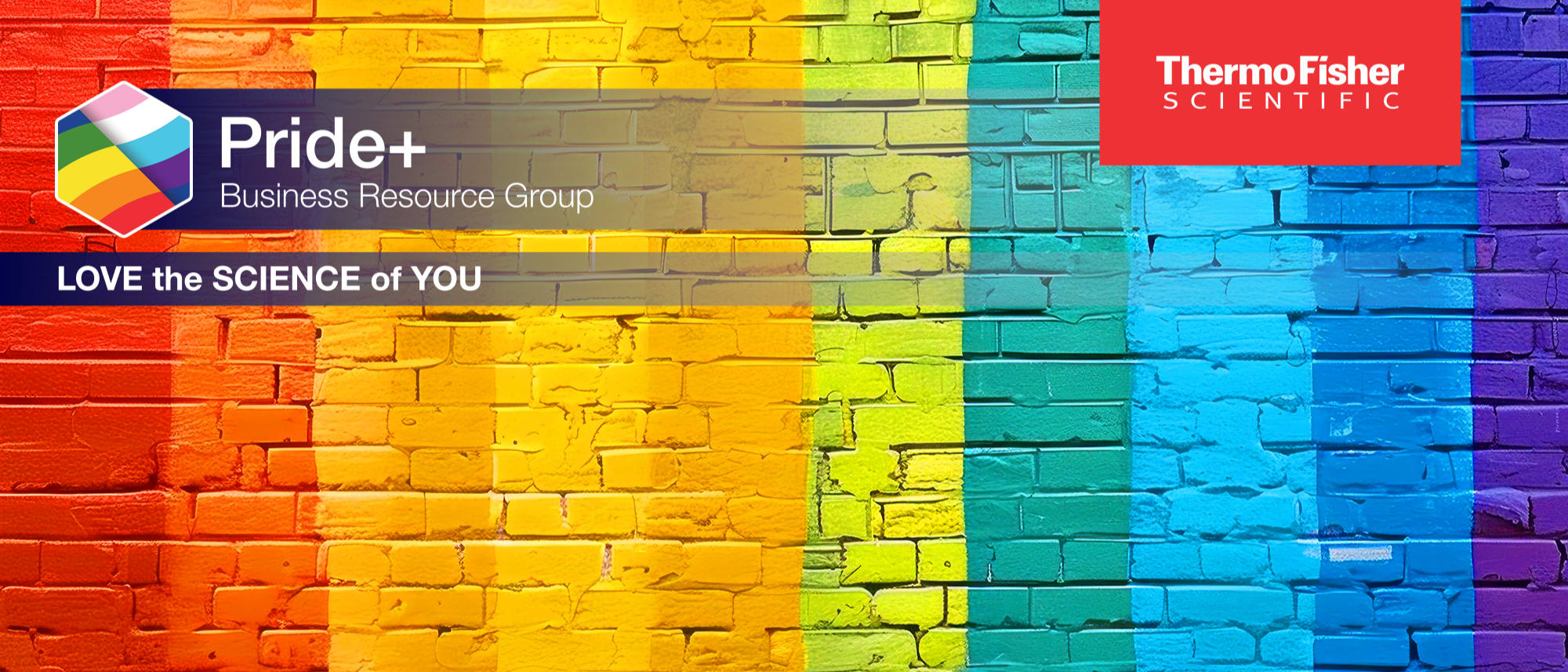 Assoc Proj Mgr-Portfolio Mgmt | Thermo Fisher Scientific | Inclusive ...