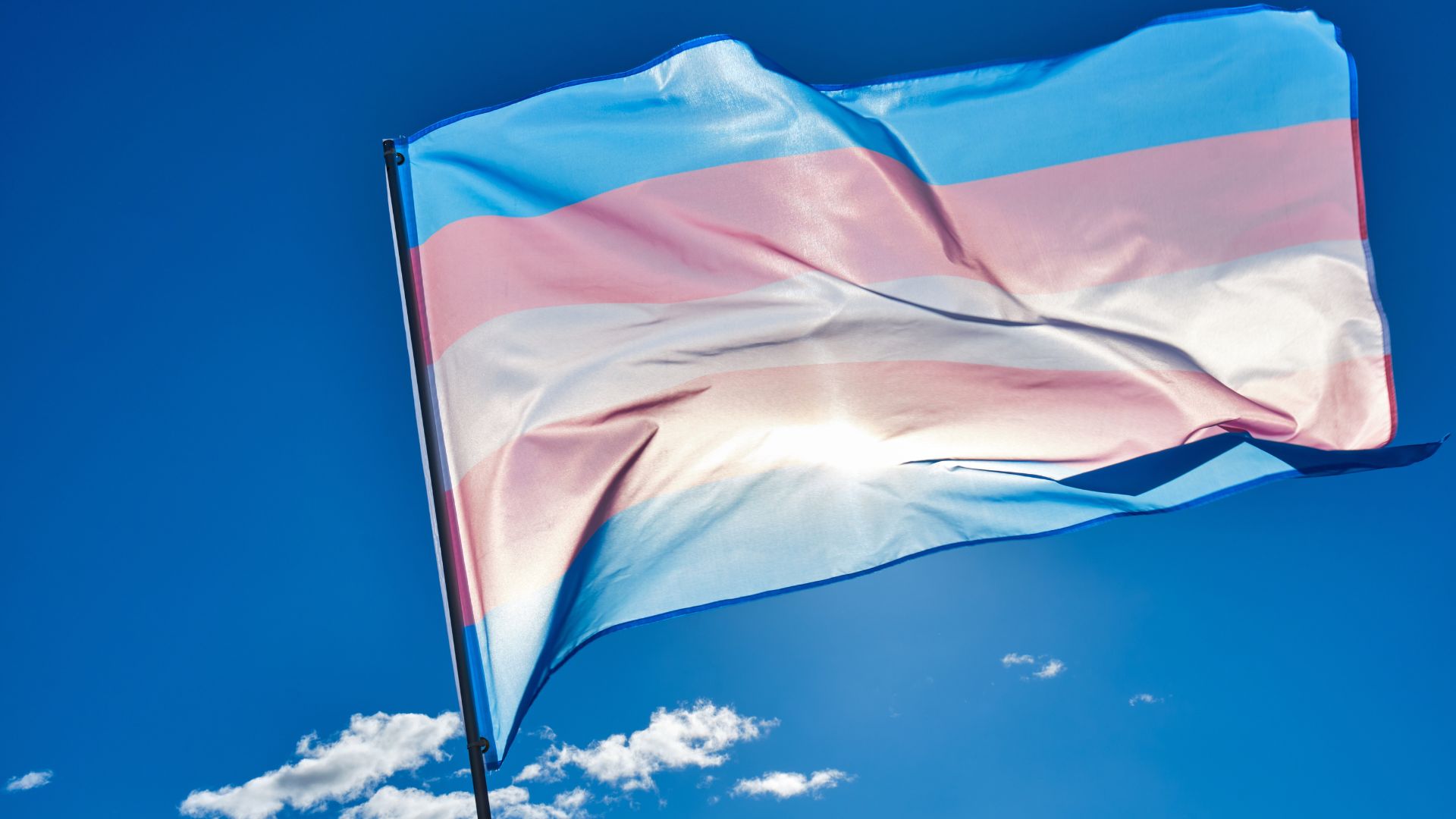 The colors of the transgender flag: what do they symbolize?