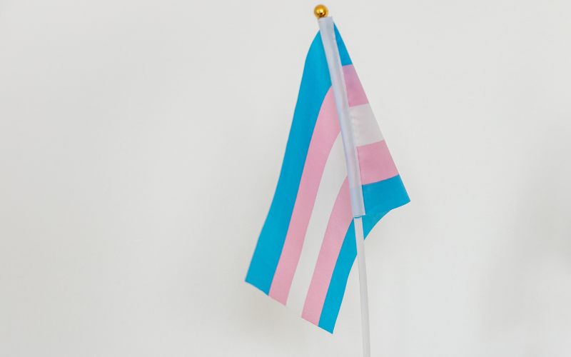 Hundreds protest in Iowa’s capital against anti-trans bill