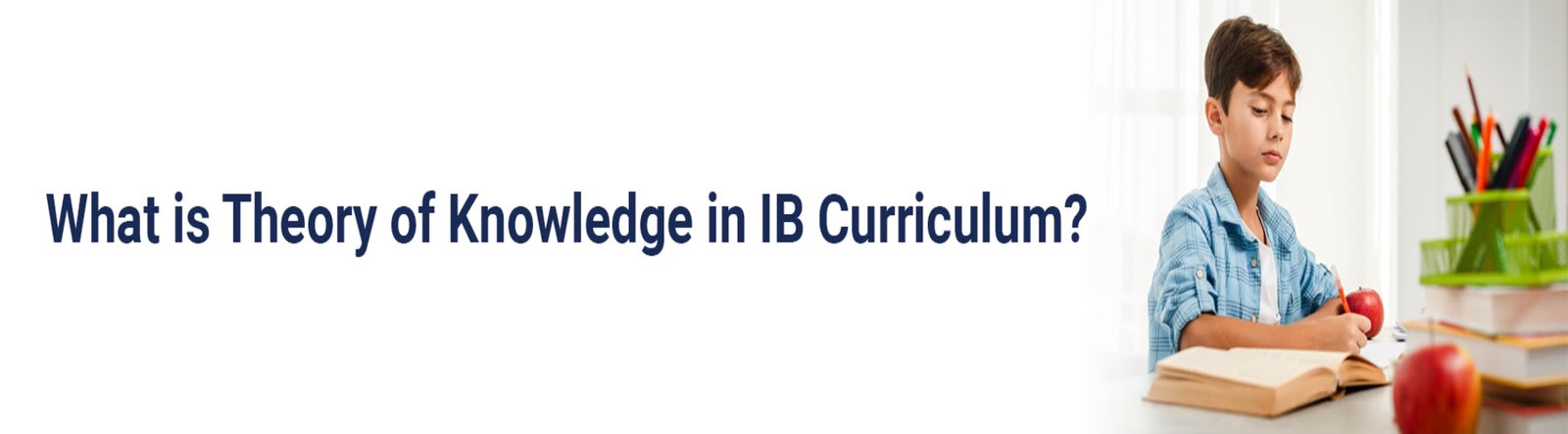 What Is Theory Of Knowledge In IB Curriculum?