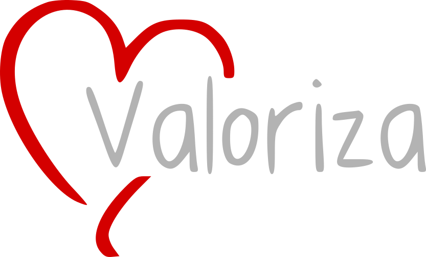 GitHub - dvargas42/valoriza-api