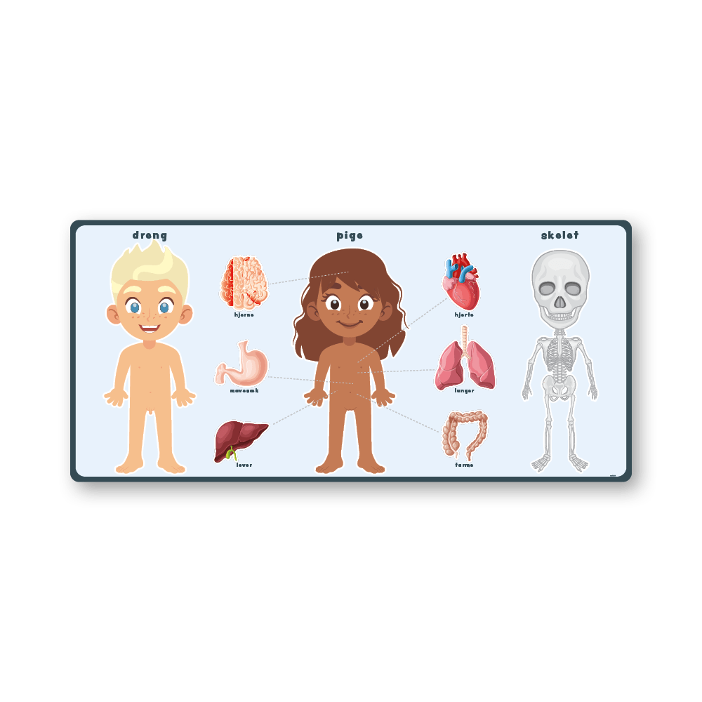 Min krop - til væg, hegn og mere | EXAKT