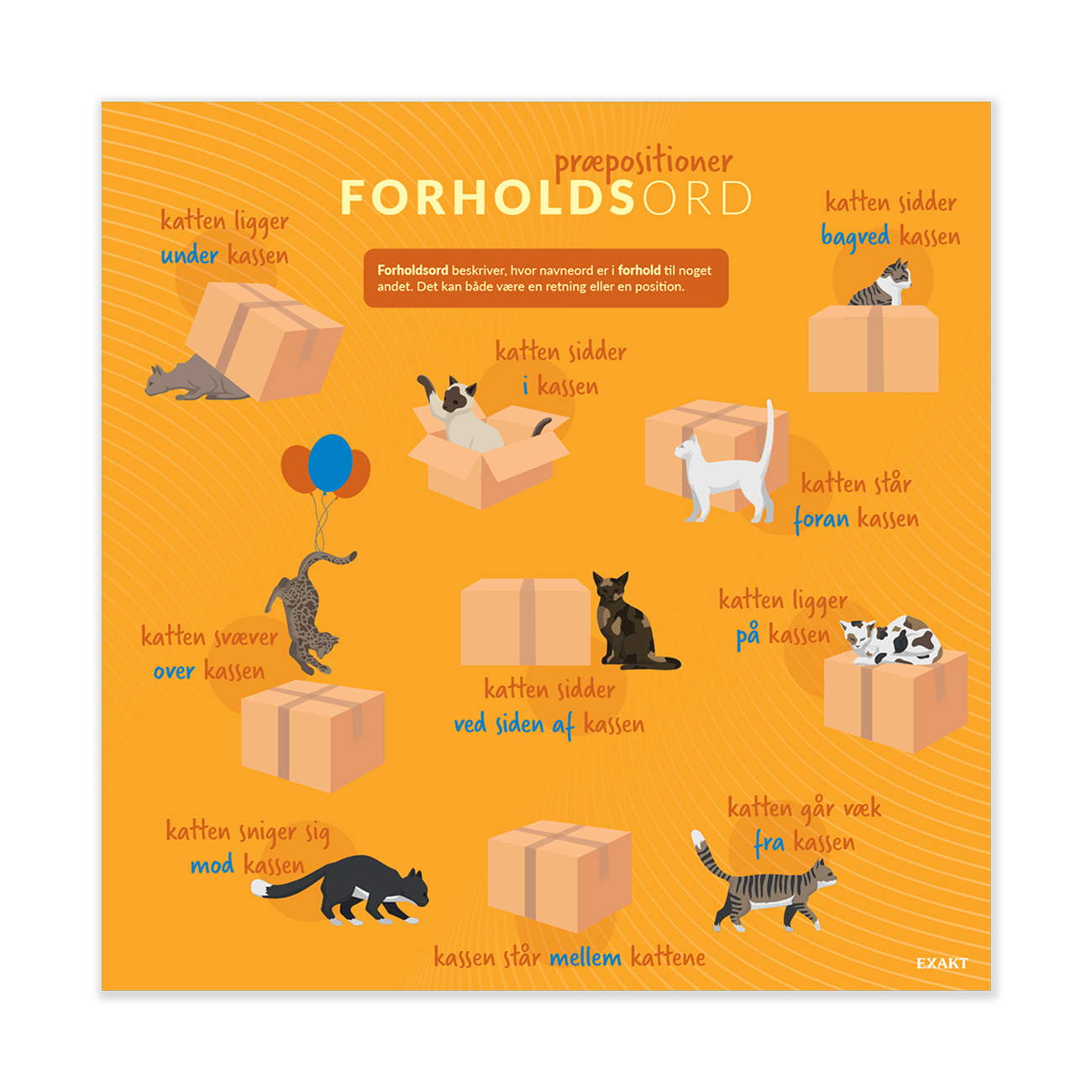 Forholdsord mellemtrin | EXAKT